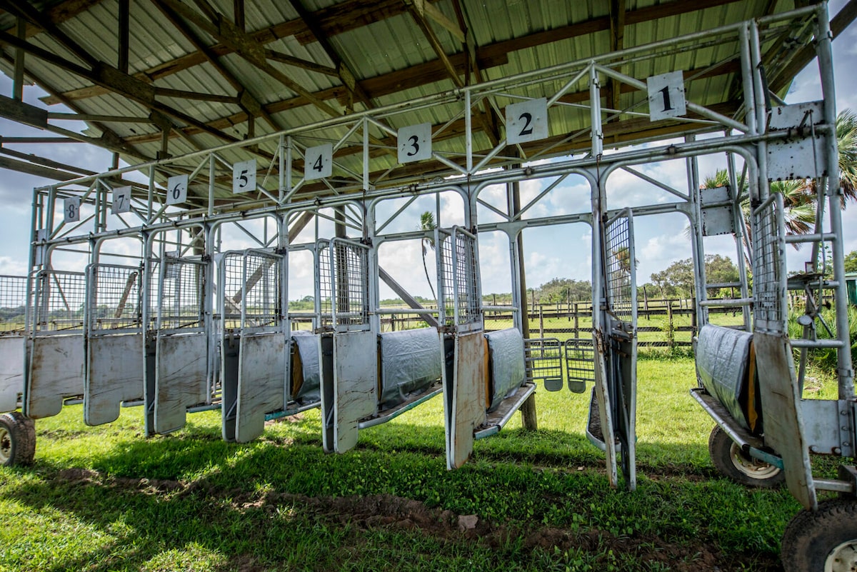 Burrell Boom Castleton Derby - Belizean Traveller
